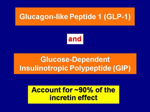 A Review of the Mechanistic and Pleiotropic Effects of GLP-1 Therapies ...