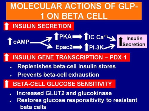 A Review of the Mechanistic and Pleiotropic Effects of GLP-1 Therapies ...