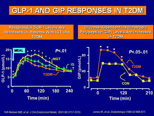 A Review of the Mechanistic and Pleiotropic Effects of GLP-1 Therapies ...