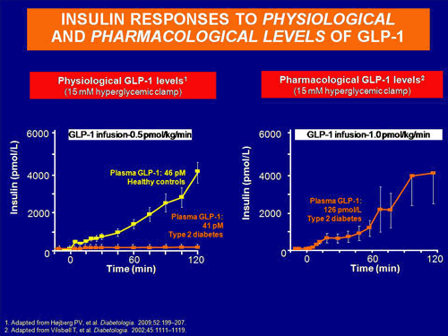 A Review of the Mechanistic and Pleiotropic Effects of GLP-1 Therapies ...