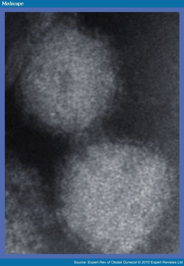 Crimean-Congo Hemorrhagic Fever Virus: Biology and Pathogenesis
