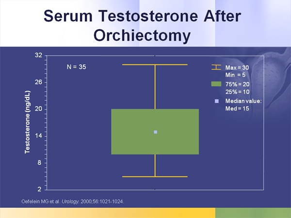 Prostate Cancer: Testosterone's Role in Treatment Decisions and Outcomes