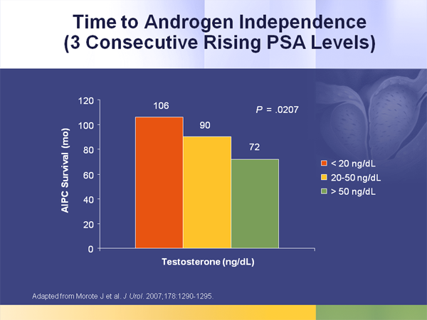 Prostate Cancer: Testosterone's Role in Treatment Decisions and Outcomes