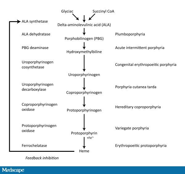 Managing Acute Porphyrias: Practice Considerations in Inpatient and ...
