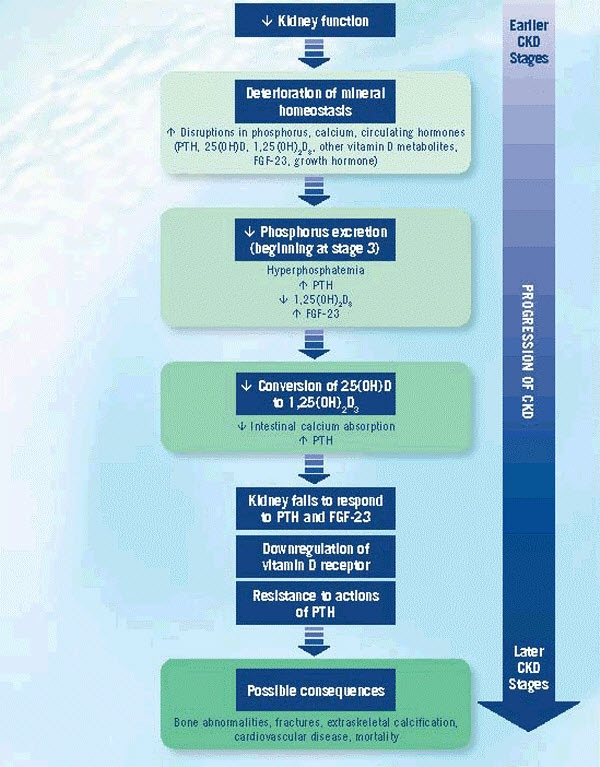CKD Medscape CME Expert Column Series: Issue 2 — Management of Chronic ...