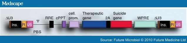 Retroviral Vectors for Gene Therapy - Page 7