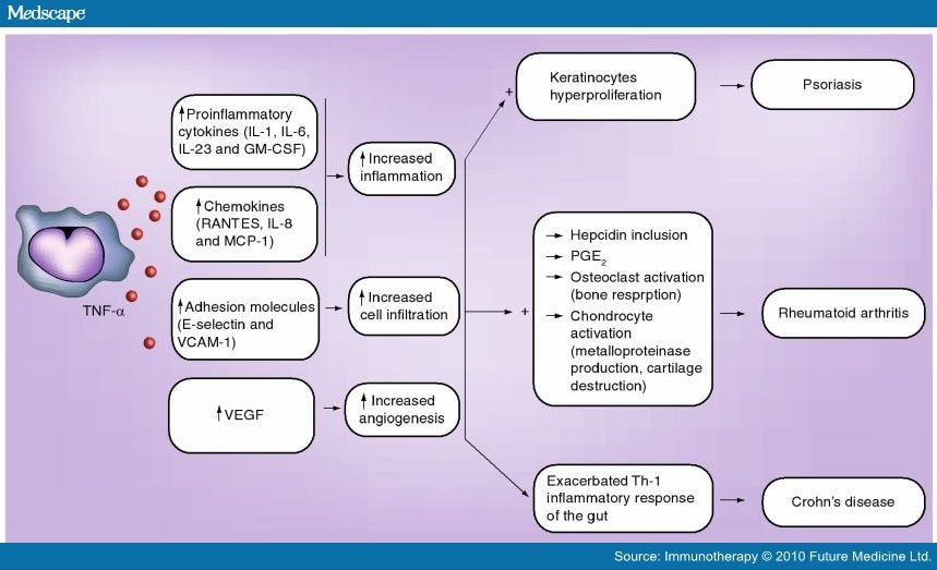 Anti-TNF-alpha Agents in Immune-Mediated Inflammatory Diseases - Page 6