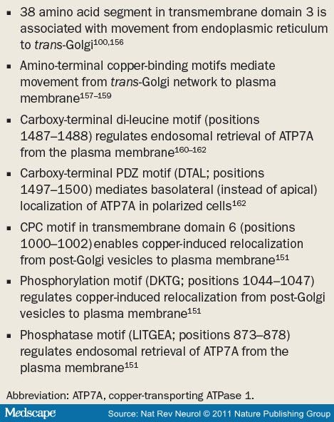 ATP7A-Related Copper Transport Diseases: Concepts and Trends