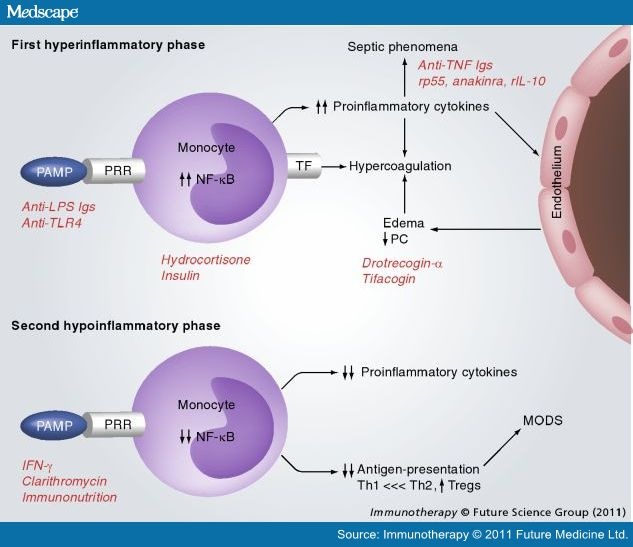 Immunomodulation in Sepsis - Page 2