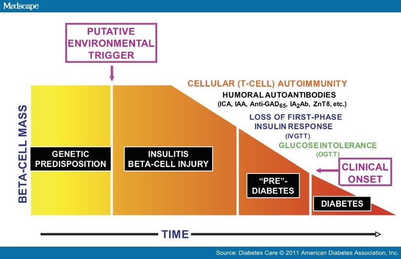 Stopping Type 1 Diabetes