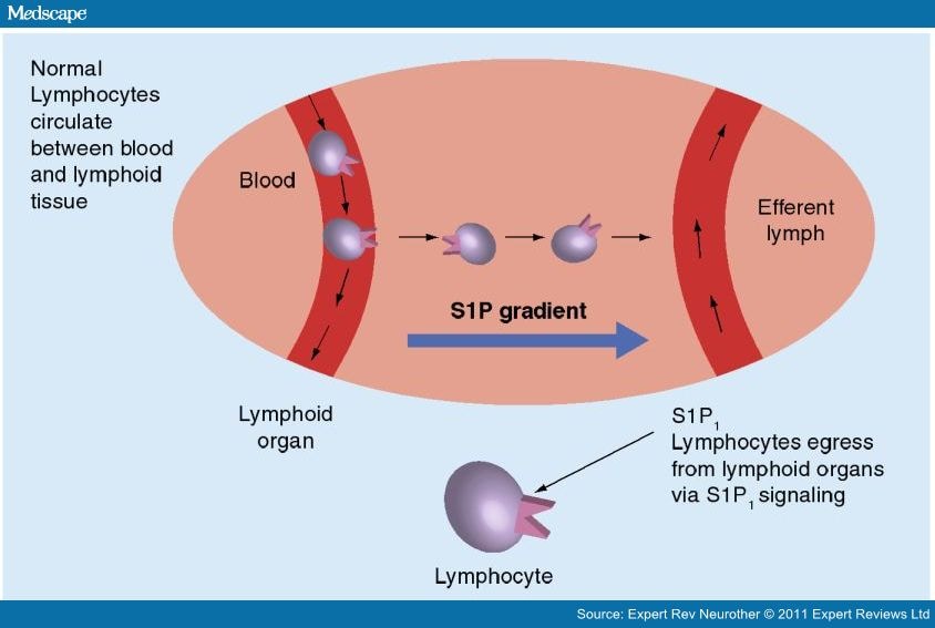 Fingolimod for the Treatment of Relapsing Multiple Sclerosis - Page 3