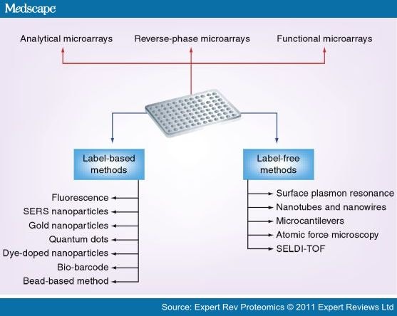 Protein Microarrays and Novel Detection Platforms