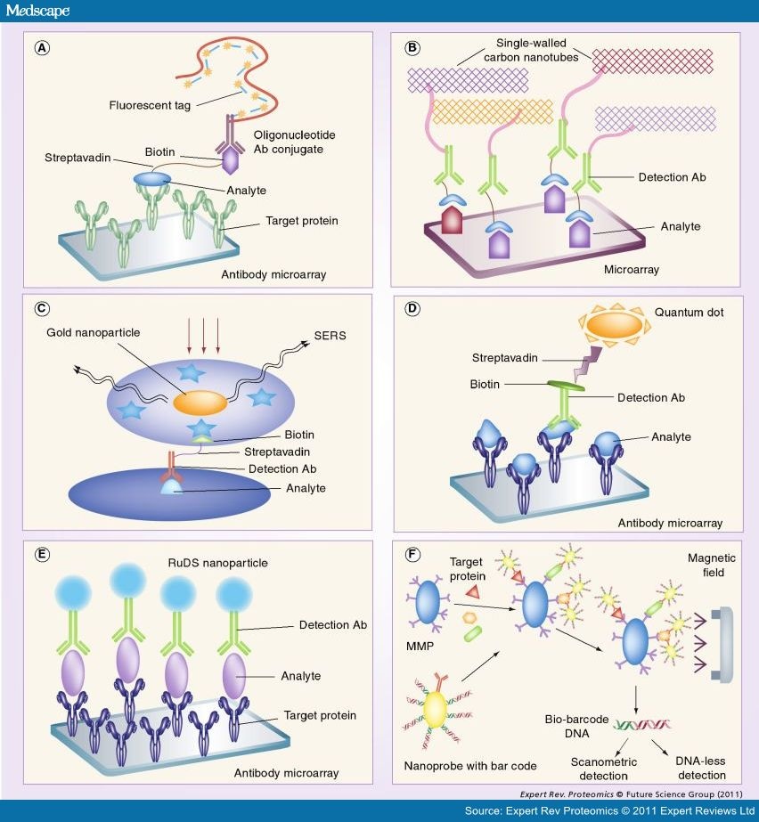 Protein Microarrays and Novel Detection Platforms - Page 3