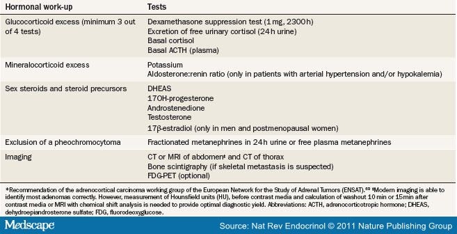 Adrenocortical Carcinoma: A Clinician's Update