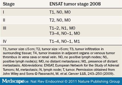 Adrenocortical Carcinoma: A Clinician's Update