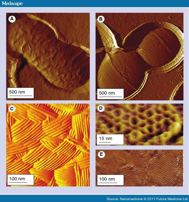Frontiers in Microbial Nanoscopy - Page 3