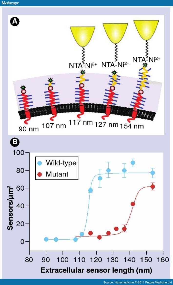 Frontiers in Microbial Nanoscopy