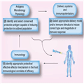 Trends in Vaccine Adjuvants - Page 2