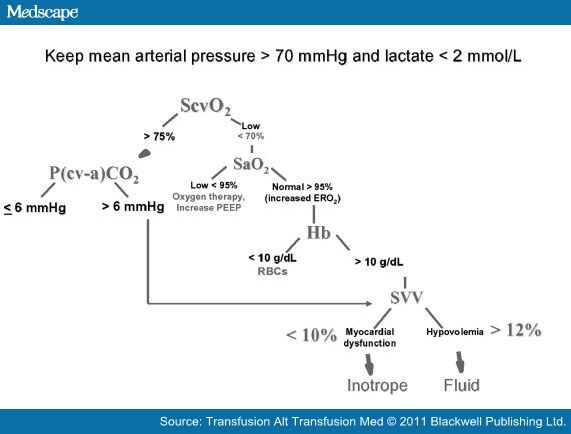 Tissue Oxygenation Parameters to Guide Fluid Therapy - Page 2