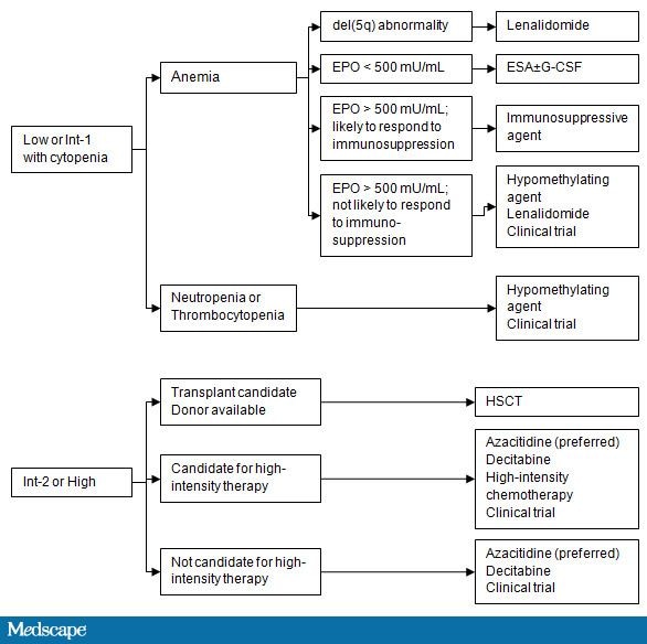 Managing the Patient With Myelodysplastic Syndrome