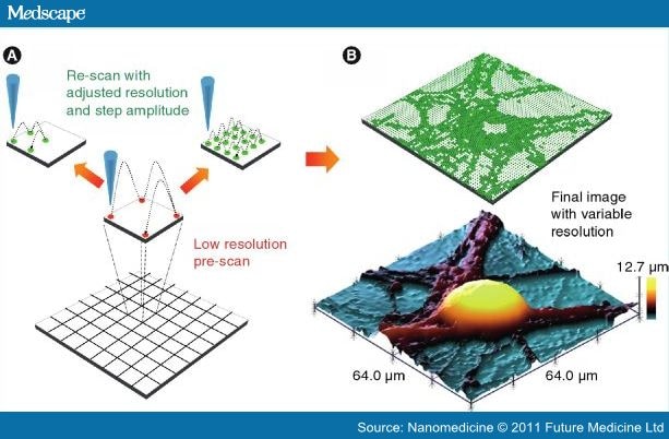 The Potential of Nanoscale Imaging Using a Pipette Probe