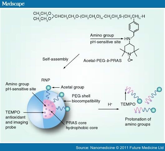 Nitroxyl Radical-Containing Nanoparticles in Oxidative Stress