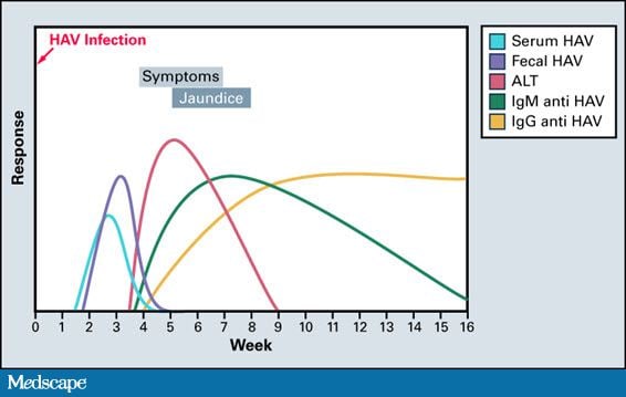 What's New in the Alphabet Soup of Viral Hepatitis - Page 2