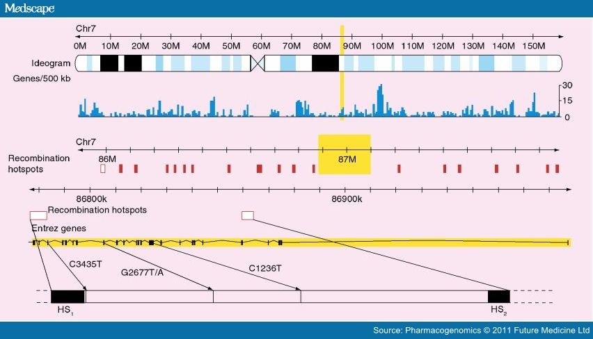ABCB1 Gene Polymorphisms and Response to Antiepileptic Drugs - Page 4