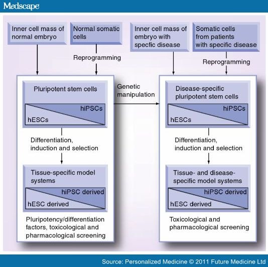 Stem Cells in Drug and Toxicological Screening - Page 4