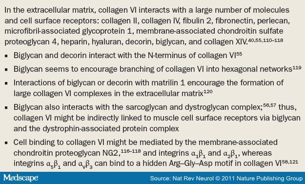 The Collagen VI-Related Myopathies: Muscle Meets Its Matrix