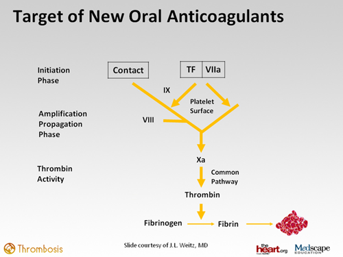 Combination Therapy Or Triple Antiplatelet Therapy Transcript