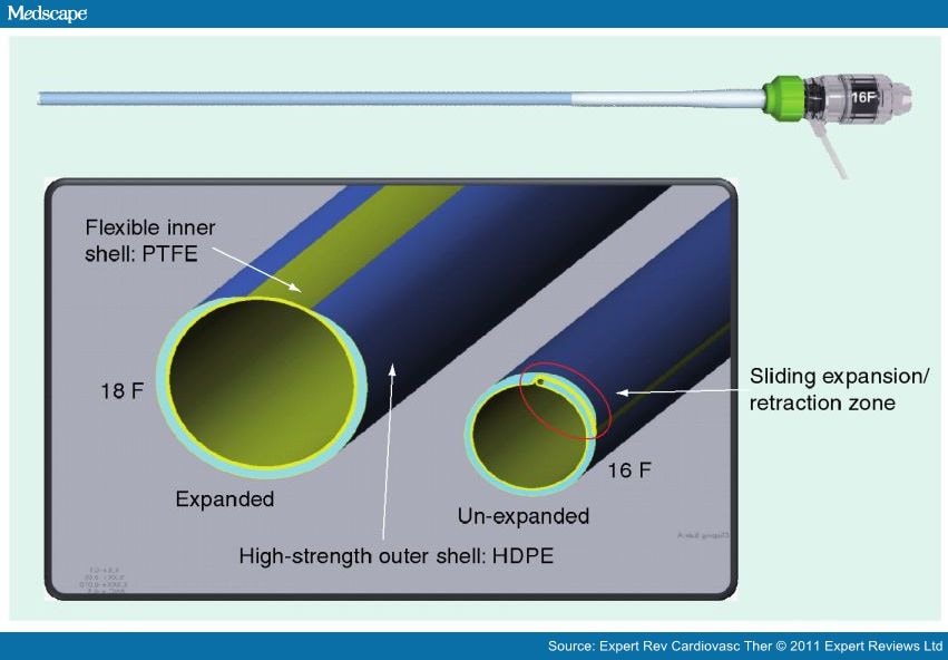 Recognition and Management of Complications During TAVI - Page 4
