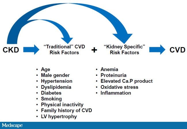 Risk Assessment and Management of CVD With CKD: The Role of the ...