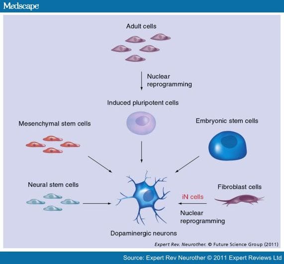 Cell Replacement Therapy for Parkinson's Disease - Page 3