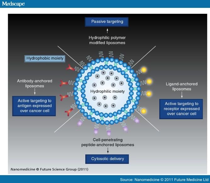 Liposomal Nanomedicine for Breast Cancer Therapy - Page 3