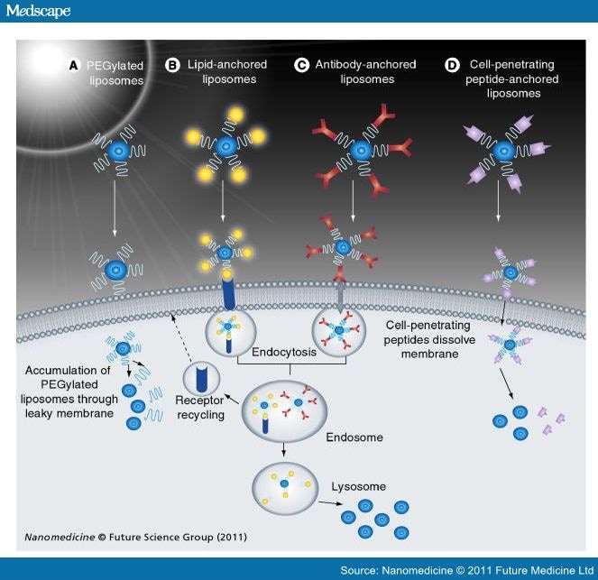 Liposomal Nanomedicine for Breast Cancer Therapy - Page 3