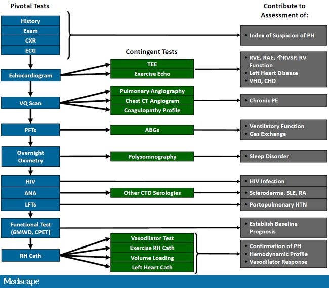 PAH From A to Z: Strategies for Early Recognition and Proper Treatment