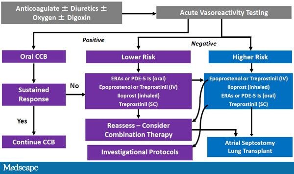 PAH From A to Z: Strategies for Early Recognition and Proper Treatment