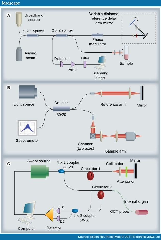 Advances in Optical CT for the Diagnoses of Lung Disorders - Page 2