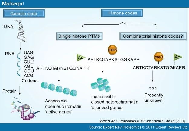 Breaking the Histone Code With Quantitative Mass Spectrometry - Page 5