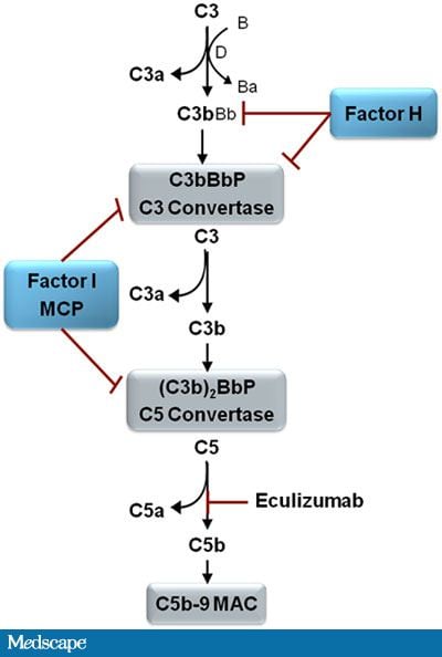 Managing Atypical Hemolytic-Uremic Syndrome: What Does the Future Hold?