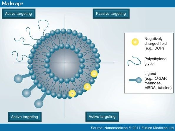Liposomes As Drug Delivery Systems for the Treatment of TB - Page 6