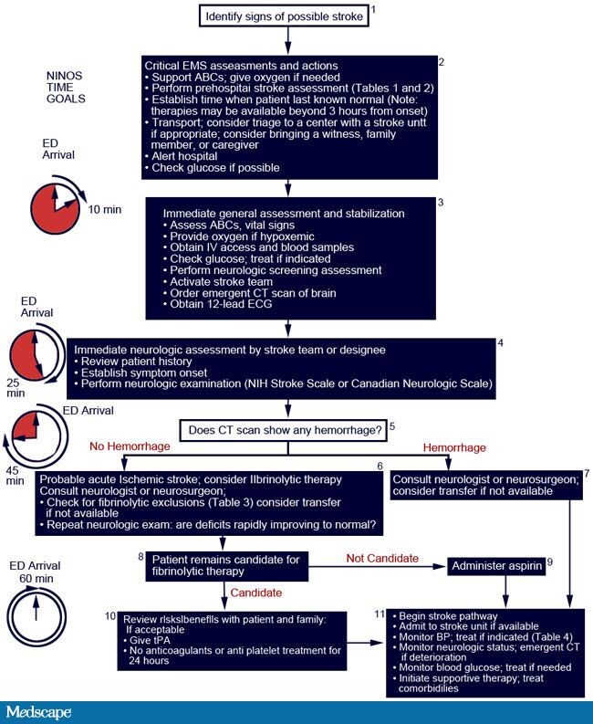 Sudden-Onset Aphasia and Right Hemiparesis in a 67-Year-Old Woman