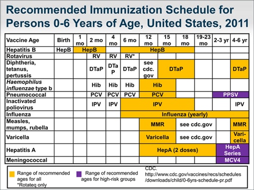 Rotavirus Immunization: What We Know and What Is Still Unanswered ...