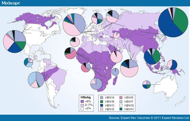 Hepatitis B Vaccine and Global HBV Genotype Diversity - Page 4