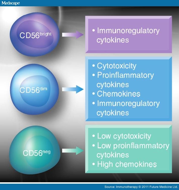 NK Cells and Their Receptors During Viral Infections - Page 3