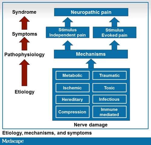 PainTV: Rationale for Treatment: Focus on Neuropathic Pain (Transcript)