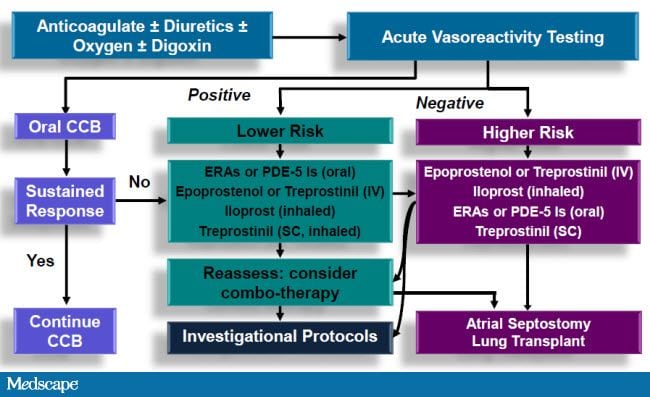 PAH With Congenital Heart Disease