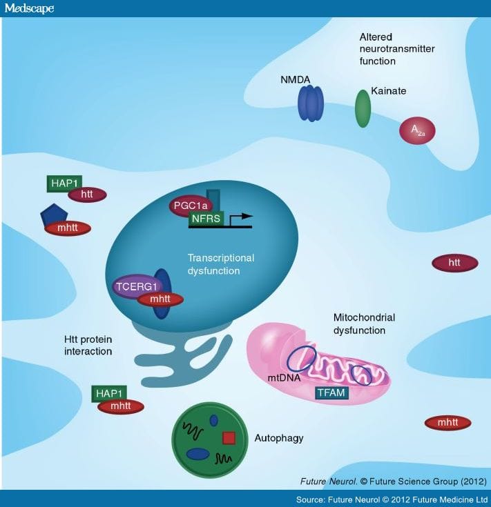 Genetic Modifiers of Huntington's Disease: Beyond CAG - Page 11