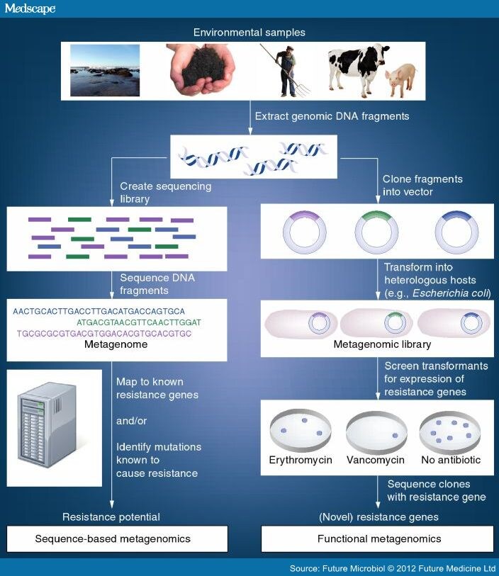 Antibiotic Resistance Through Metagenomic Approaches - Page 4